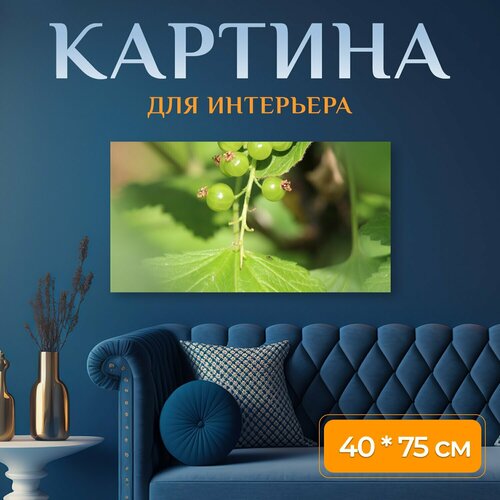 Картина на холсте "Смородина, кустарник, ягоды" на подрамнике 75х40 см. для интерьера