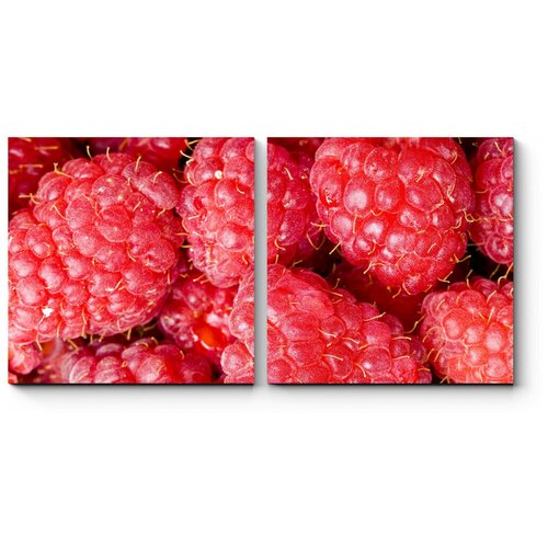 Модульная картина Крупные ягоды малины 50x25