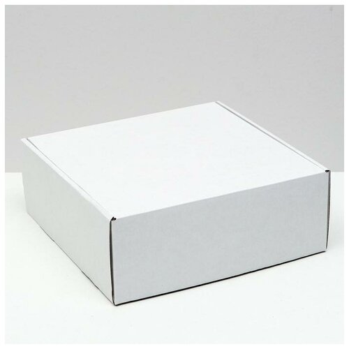 Коробка самосборная, белая, 25 х 25 х 9,5 см(5 шт.)