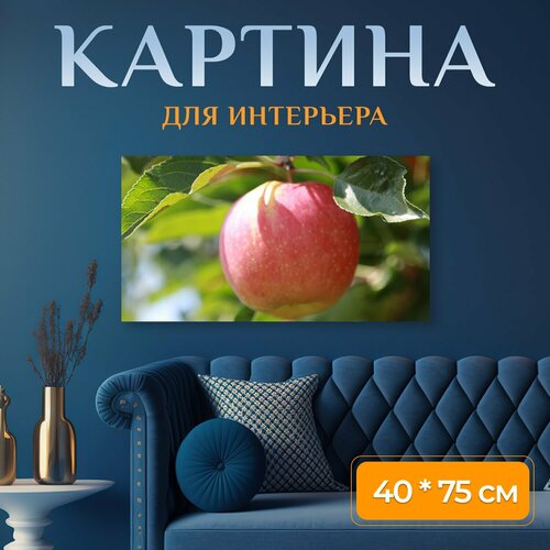 Картина на холсте "Извиняться, яблоня, фрукты" на подрамнике 75х40 см. для интерьера