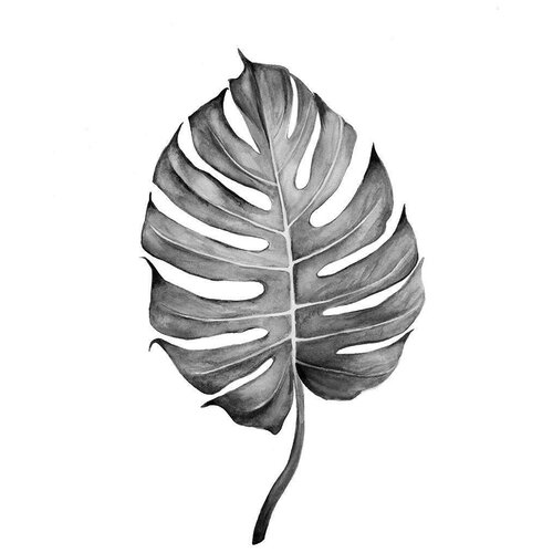Интерьерный постер "Split Leaf" размера 40х50 см 400*500 мм репродукция без рамы в тубусе для декора комнаты офиса дома