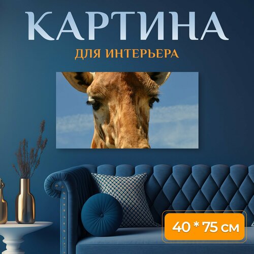 Картина на холсте "Жирафа, саванна, животное" на подрамнике 75х40 см. для интерьера