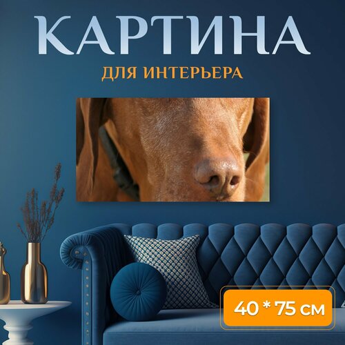 Картина на холсте "Собака, домашний питомец, венгерская борзая" на подрамнике 75х40 см. для интерьера