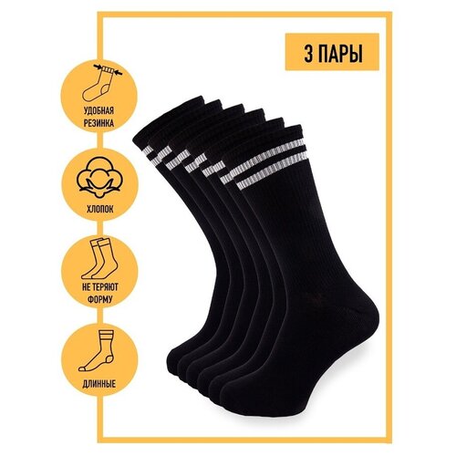 Носки Годовой запас носков, 3 пары, размер 25 (39-41), черный