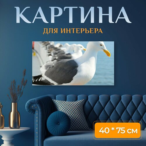 Картина на холсте "Чайка, птица, судно" на подрамнике 75х40 см. для интерьера