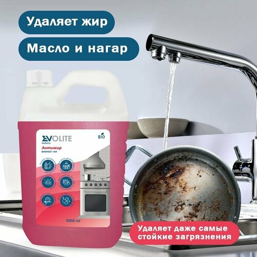 Антижир спрей - Средство для чистки плит и духовок (Evolite HoReCa), 5л