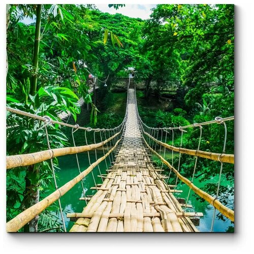 Модульная картина Бамбуковый пешеходный подвесной мост через реку в тропическом лесу 60x60