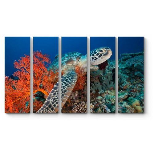 Модульная картина Морская черепаха в кораллах170x102