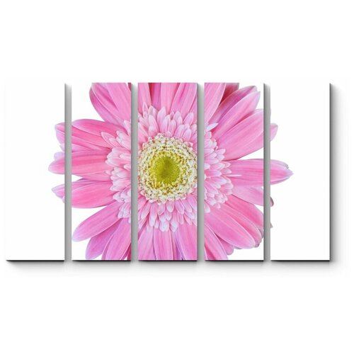 Модульная картина Ярко-розовая гербера150x90