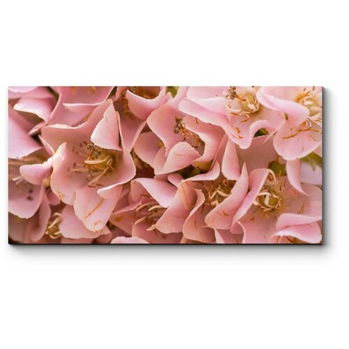 Модульная картина Розовые лепестки100x50