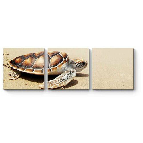 Модульная картина Черепаха принимает солнечные ванны90x30