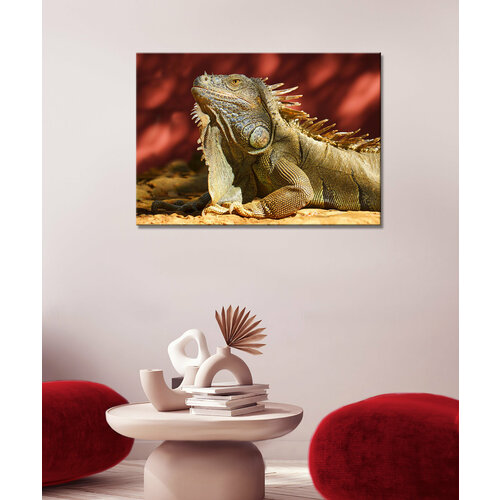 Картина -Игуана, мадагаскарская игуана, коричневая игуана (19) 50х70
