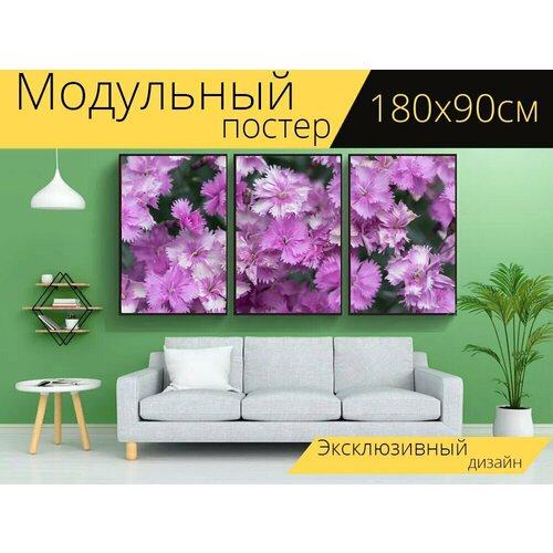 Модульный постер "Цветы, фиолетовые цветы, фиолетовые лепестки" 180 x 90 см. для интерьера