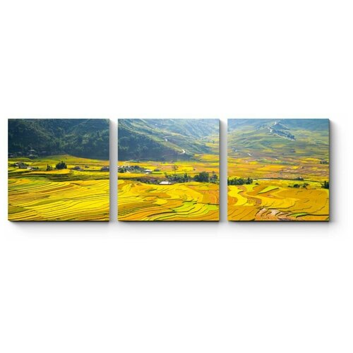 Модульная картина Рисовые поля у подножия гор Вьетнама 210x70