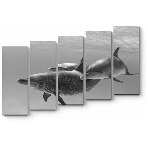Модульная картина Трио пятнистых дельфинов140x98