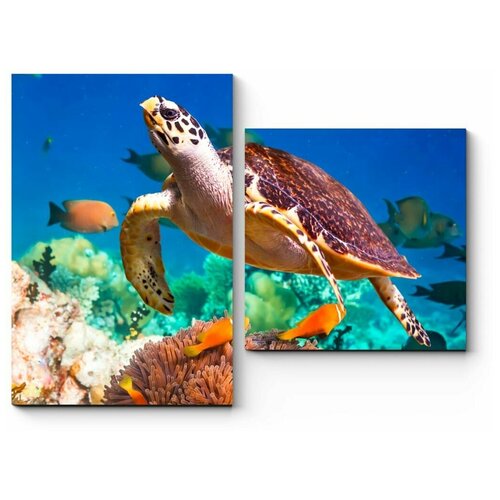 Модульная картина Черепаха в коралловом рифе190x143