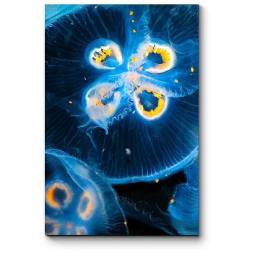 Модульная картина Морские красавицы 100x150