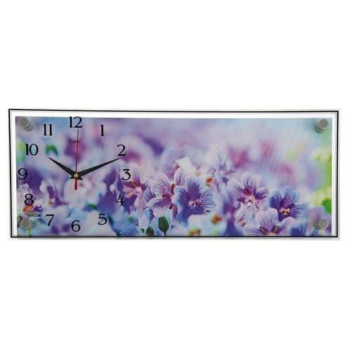 Рубин Часы настенные, серия: Цветы, "Полевые цветы", 50х20 см