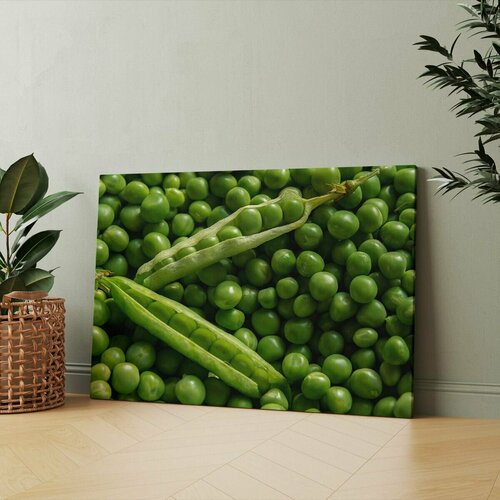 Картина на холсте (Зеленый горошек, овощи, зелень) 22 32 см/для интерьера/в комнату/на стену/в подарок