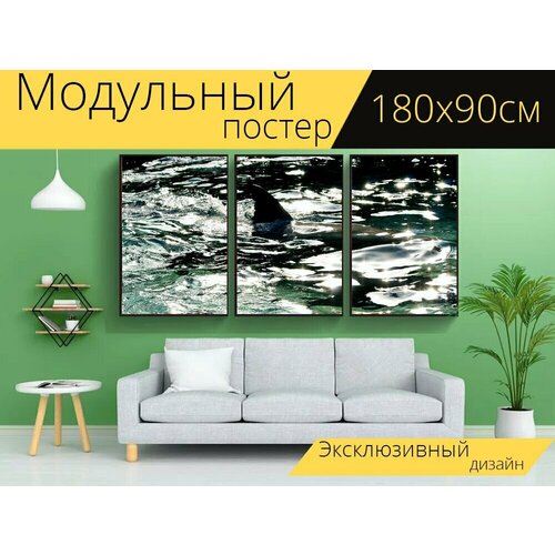 Модульный постер "Плавник, вода, дельфин" 180 x 90 см. для интерьера