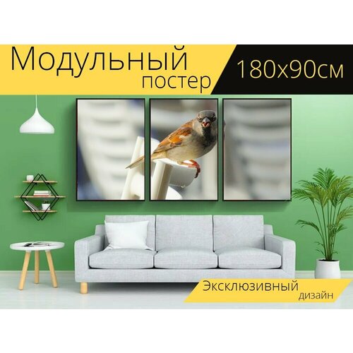 Модульный постер "Птица, сидя, маленькая птица" 180 x 90 см. для интерьера