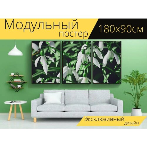 Модульный постер "Подснежник, весна, признаки весны" 180 x 90 см. для интерьера
