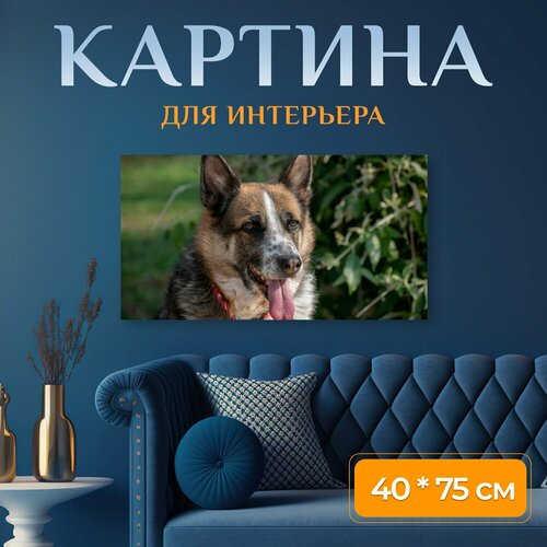 Картина на холсте "Собака, домашний питомец, животное" на подрамнике 75х40 см. для интерьера