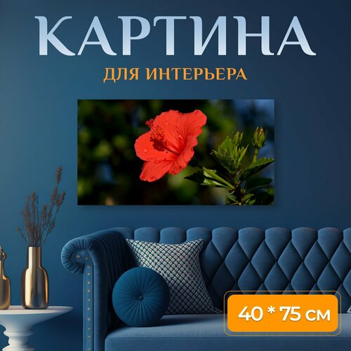Картина на холсте "Красный, цветок, блум" на подрамнике 75х40 см. для интерьера