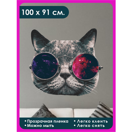 Наклейка для интерьера "Серый кот в очках / отражение галактики"