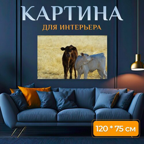 Картина на холсте "Коровы, бычий, телята" на подрамнике 120х75 см. для интерьера