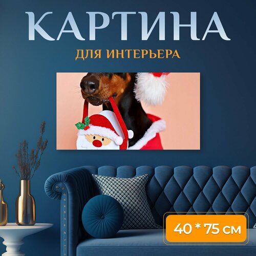 Картина на холсте "Доберман, собака, санта клаус" на подрамнике 75х40 см. для интерьера