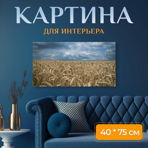 Картина на холсте "Поле, пшеница, небо" на подрамнике 75х40 см. для интерьера