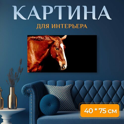 Картина на холсте "Лошадь, коричневый, портрет" на подрамнике 75х40 см. для интерьера
