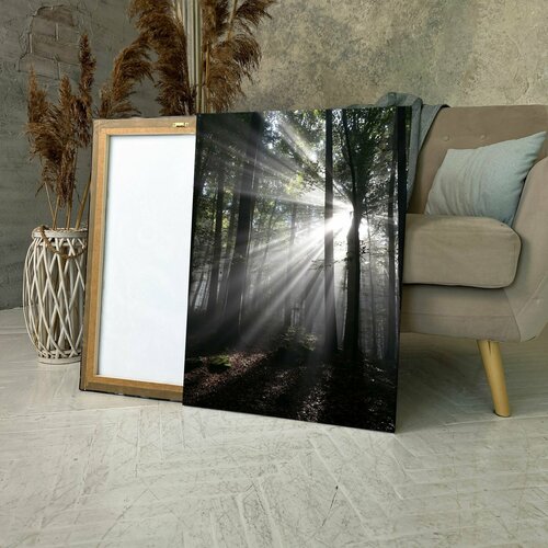 Картина на холсте "Солнце светит сквозь деревья в лесу" 60x80 см. Интерьерная, на стену.