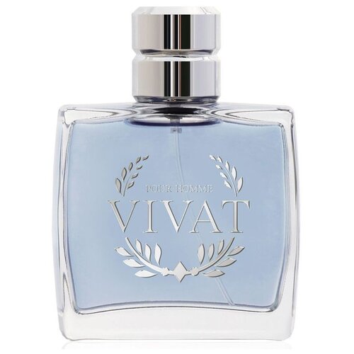 Dilis Parfum туалетная вода Vivat, 100 мл, 341 г