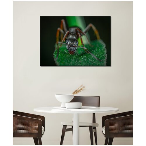 Картина - Муравей, муравей макро, муравей близко (16) 30х40