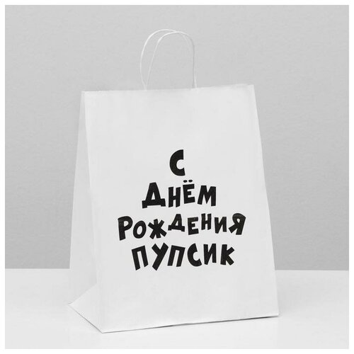 Пакет подарочный с приколами, крафт «Пупсик», белый, 24 х 10,5 х 32 см