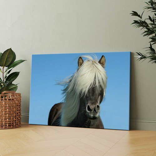 Картина на холсте (Лошадь) 20x30 см. Интерьерная на стену.
