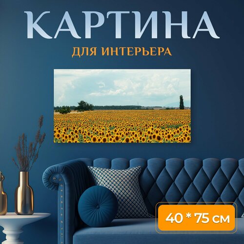 Картина на холсте "Поле, подсолнечник, цветы" на подрамнике 75х40 см. для интерьера