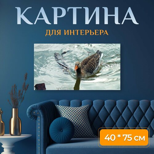 Картина на холсте "Утка, водоплавающая птица, природа" на подрамнике 75х40 см. для интерьера