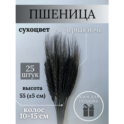 Букет сухоцветы пшеница сухие колоски (Цвет: глубокий черный)