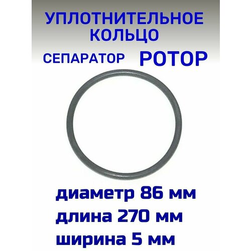 Уплотнительное кольцо, прокладка для сепаратора Ротор