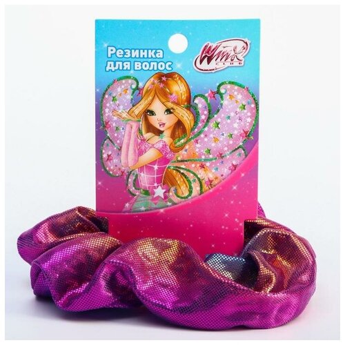 Резинка для волос блестящая фиолетовая, WINX, 3 штуки