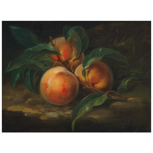 Репродукция на холсте Персики (Peaches) №3 Форстер Джордж (Forster George) 53см. x 40см.