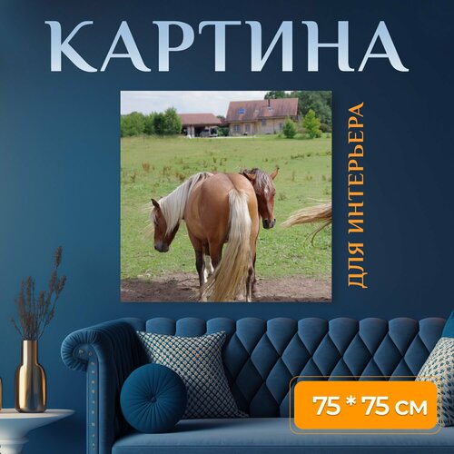 Картина на холсте "Лошади, животные, лошадь" на подрамнике 75х75 см. для интерьера