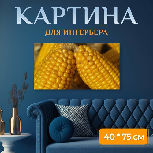 Картина на холсте "Сладкая кукуруза, еда, желтый" на подрамнике 75х40 см. для интерьера