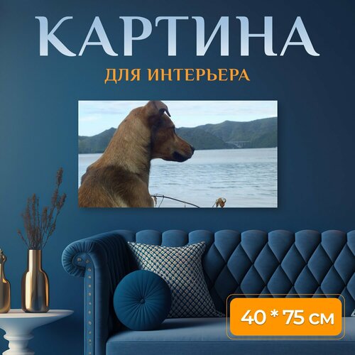Картина на холсте "Собака, пейзаж, пруд" на подрамнике 75х40 см. для интерьера