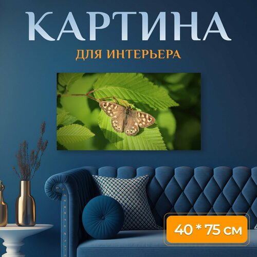 Картина на холсте "Бабочка, лесная настольная игра, бабочки" на подрамнике 75х40 см. для интерьера