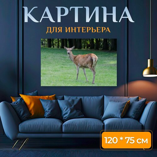 Картина на холсте "Трава, млекопитающее, природа" на подрамнике 120х75 см. для интерьера