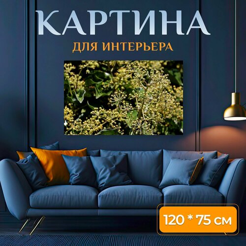 Картина на холсте "Плющ, цвести, насекомые" на подрамнике 120х75 см. для интерьера